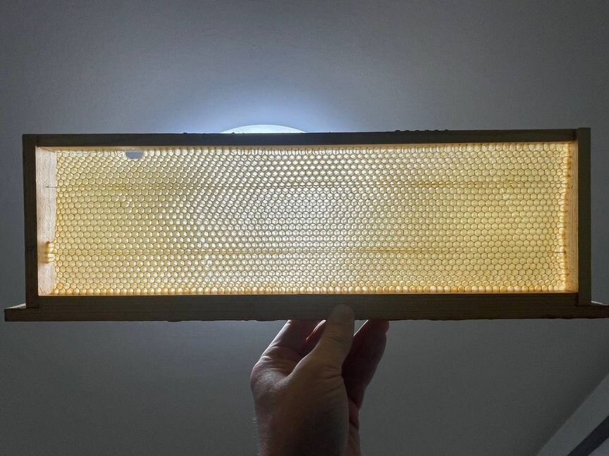 Сушь для пчел экологически чистая