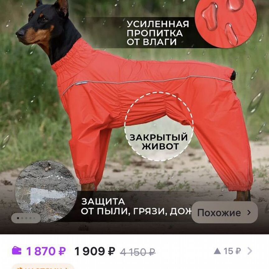 Дождевик для крупной собаки
