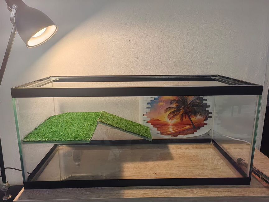 Аквариум для красноухой черепахи(черепашатник)