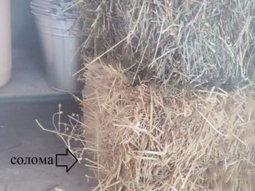 Сено и солома в тюках
