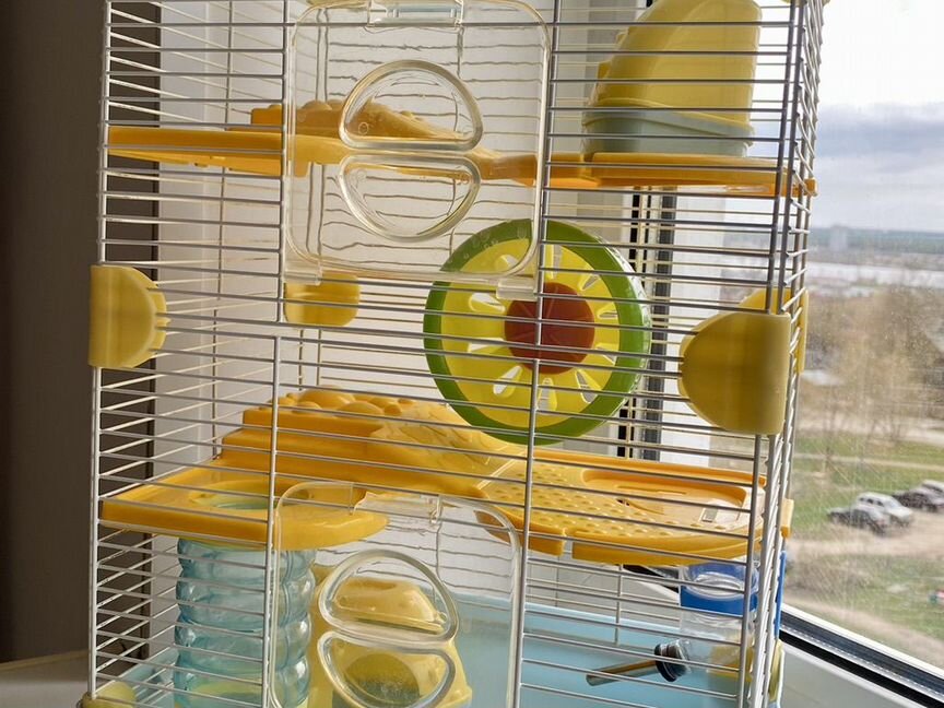 Клетка для джунгарского хомяка