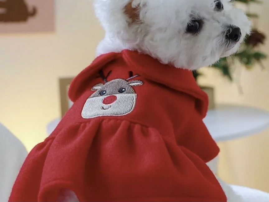 Новогоднее платье для собак и кошек