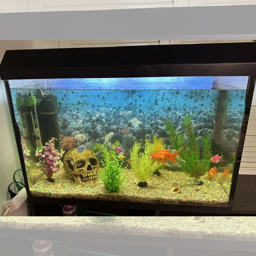 Аквариум с рыбками