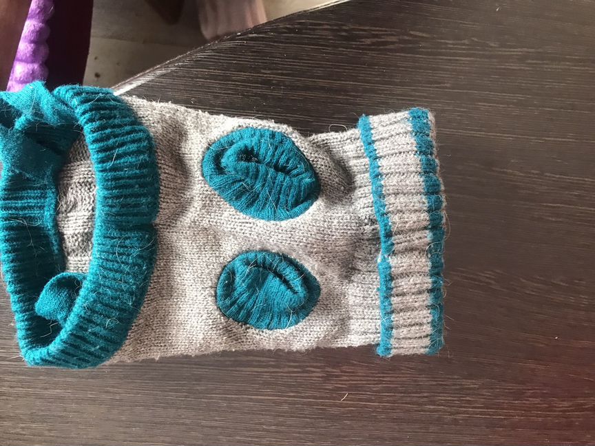 Одежда для собак