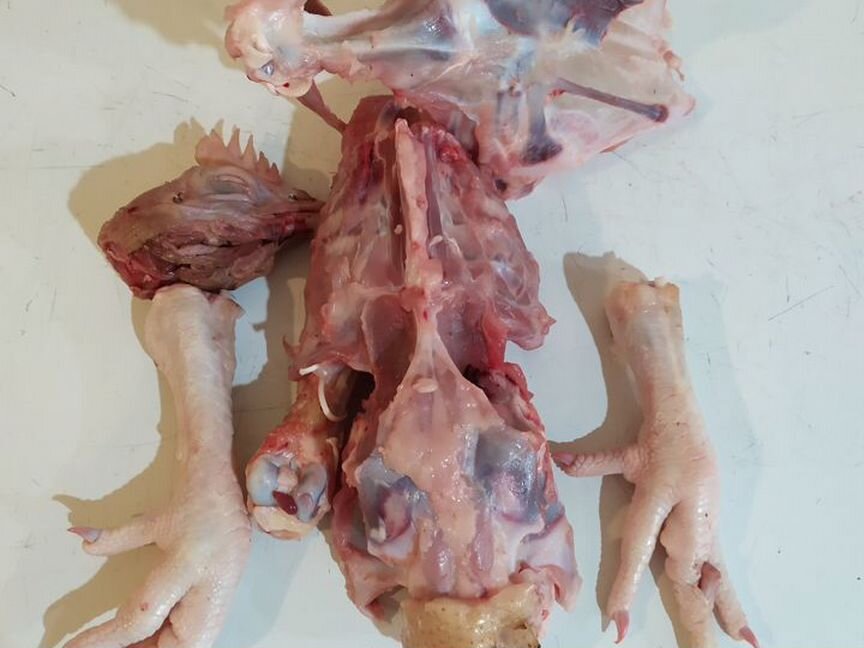 Куриные лапы, головы, кости, шеи