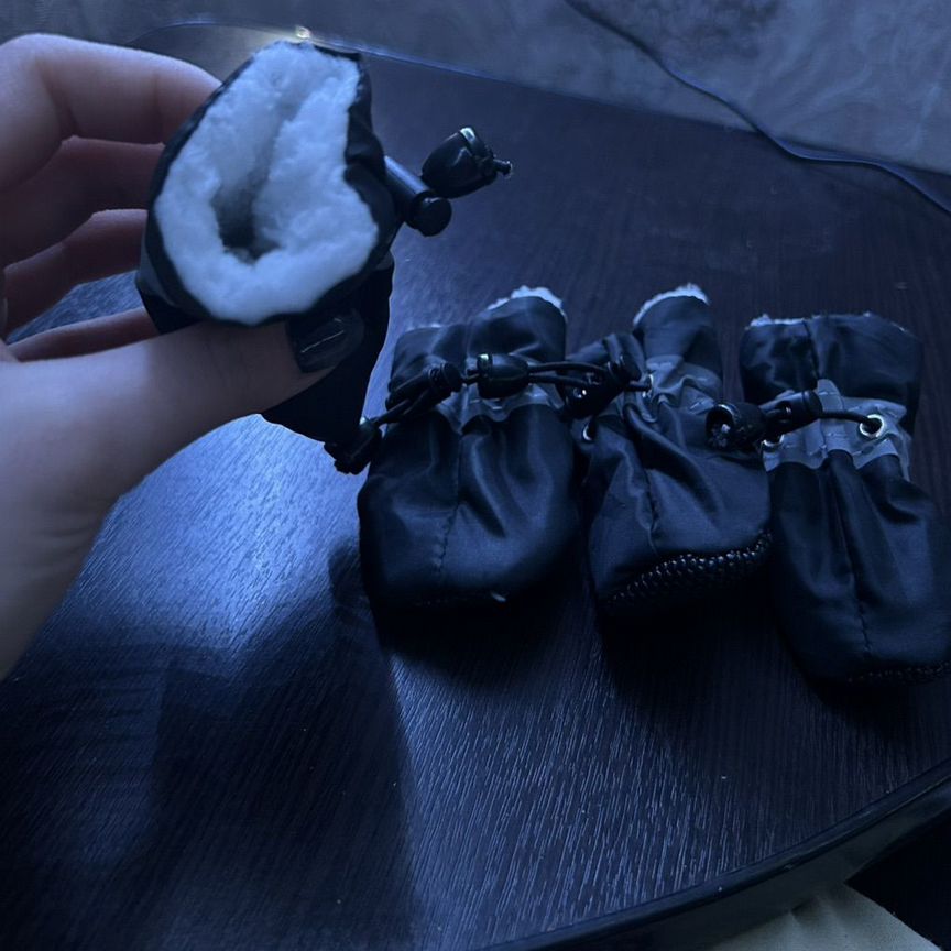 Зимняя обувь для кошек и собак