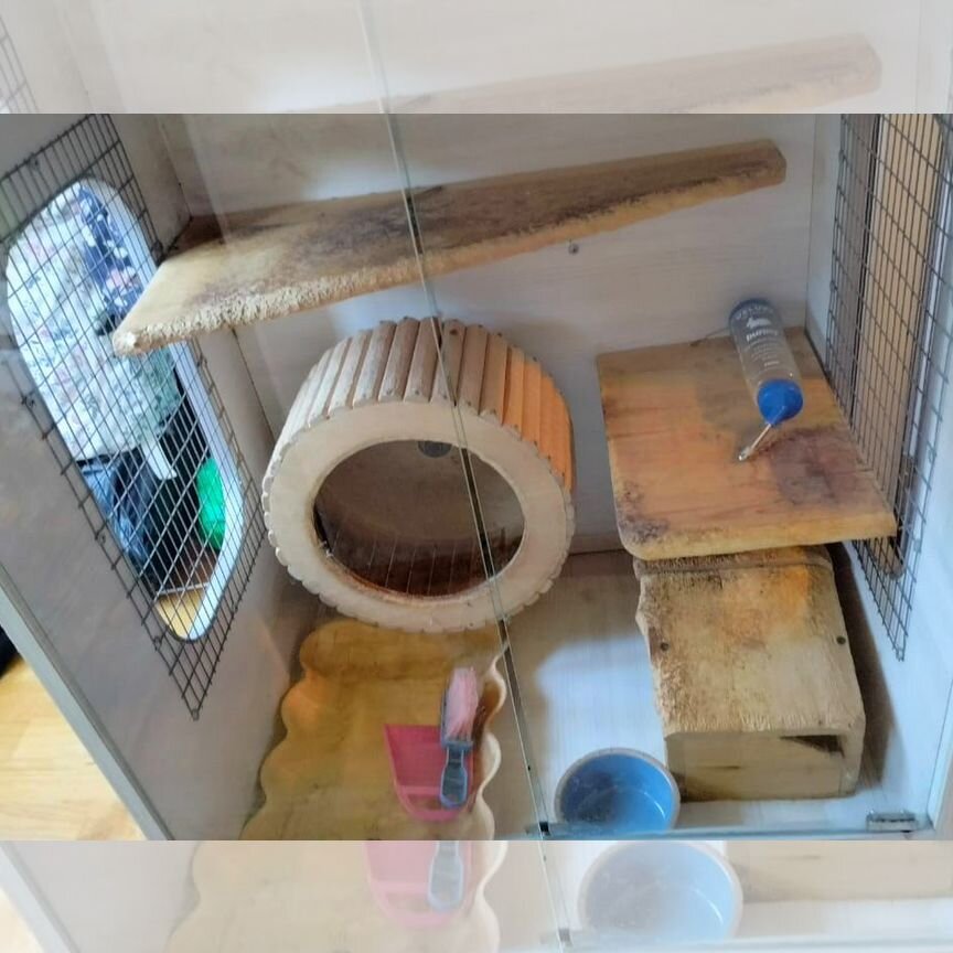 Отдам бесплатно клетку для шиншиллы