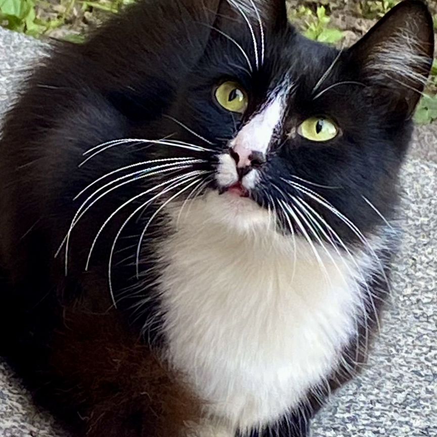 Милейший малыш ждёт своих хозяев