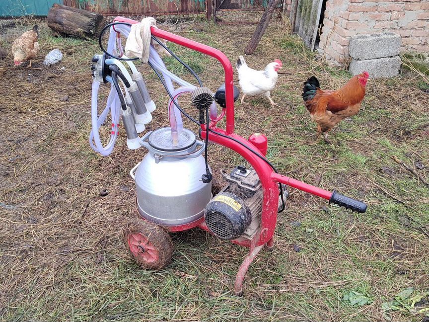 Доильный аппарат