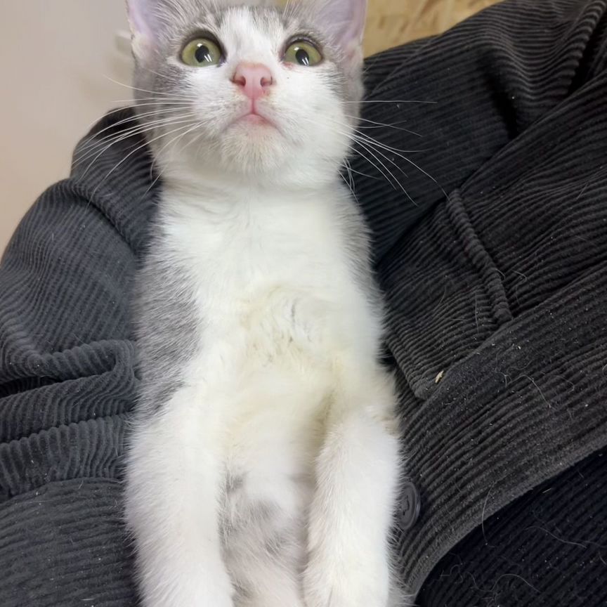 Маленький брошенный Боря