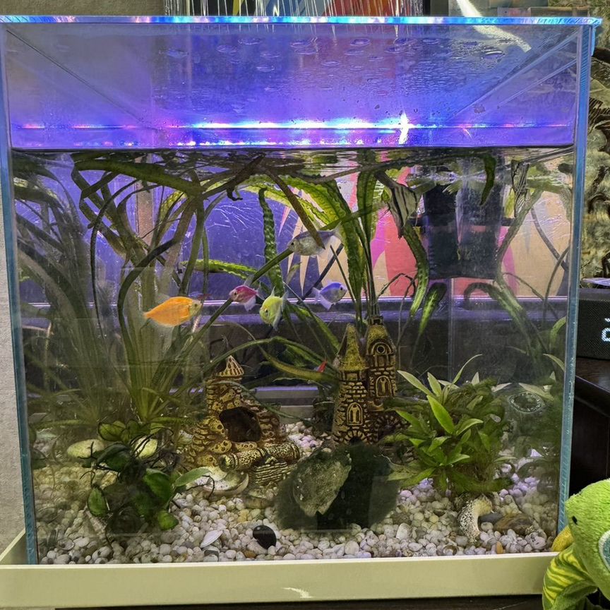 Аквариум с рыбками бу