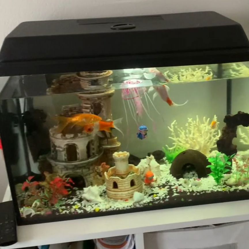 Аквариум с рыбками и декор