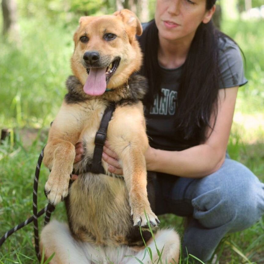 Кира в добрые руки