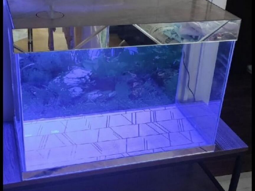 Аквариумы с доставкой пэк