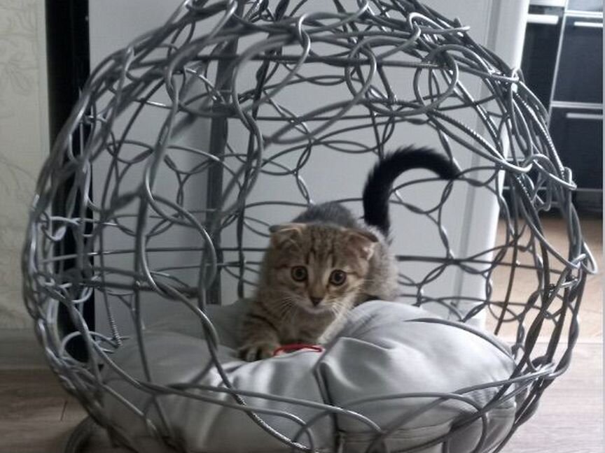 Подвесной кокон-лежанка для животных