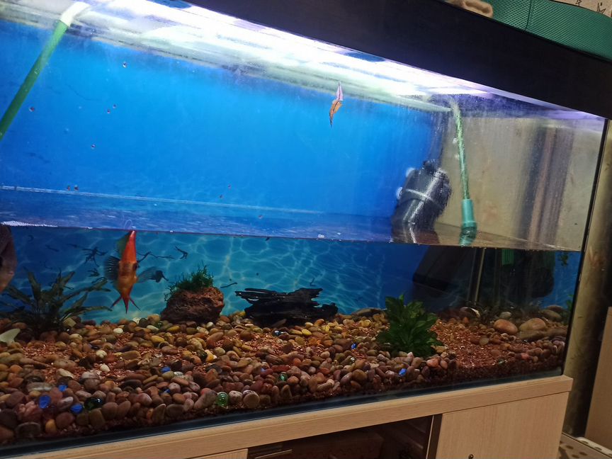 Аквариум с протечкой по шву