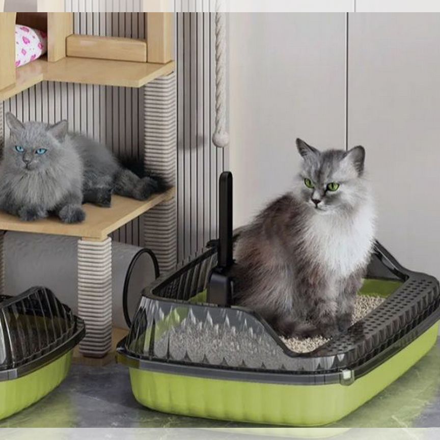 Лоток для кота. Новый