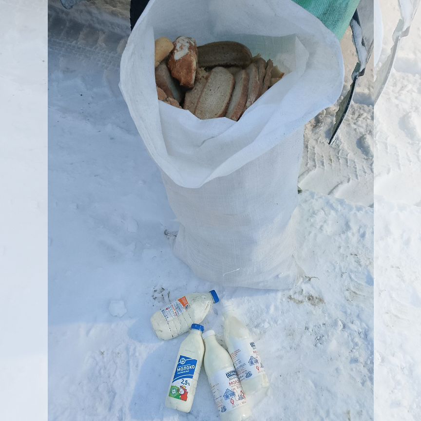 Хлеб и молочная продукция на корм животным