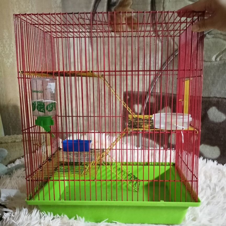 Клетка