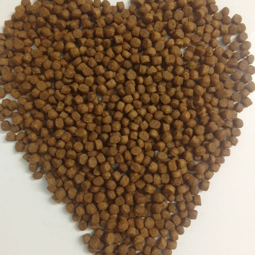 Grandorf kitten Корм для котят 5 кг