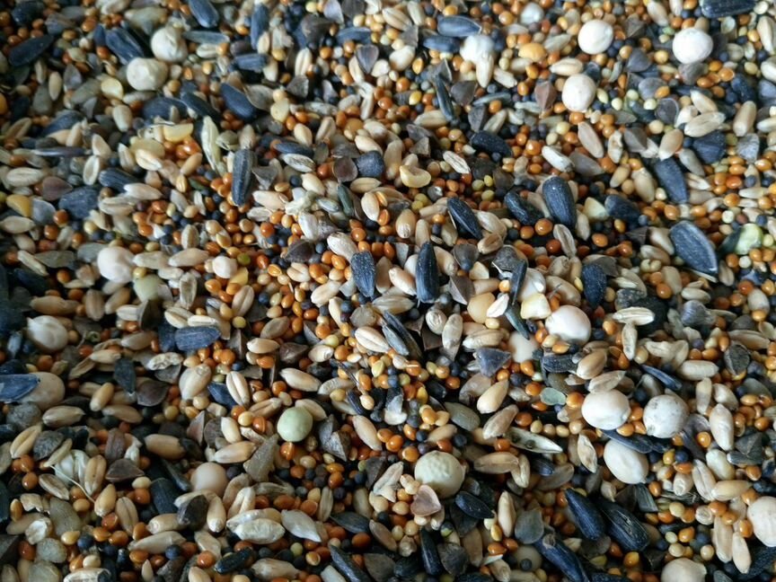 Корма для животных