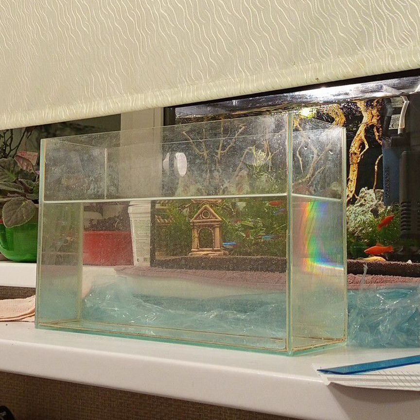 Аквариум или террариум