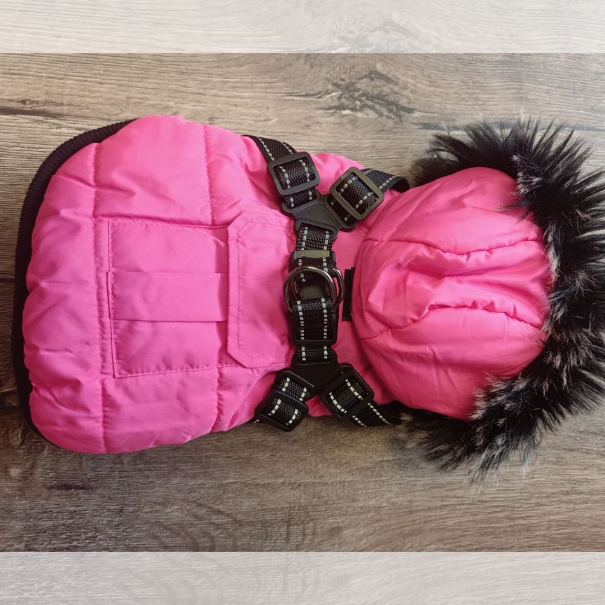 Одежда для маленьких собак S