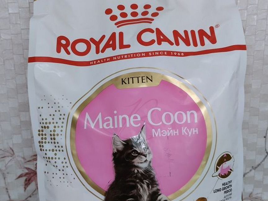 Корм для котят Royal Canin kitten Maine Coon