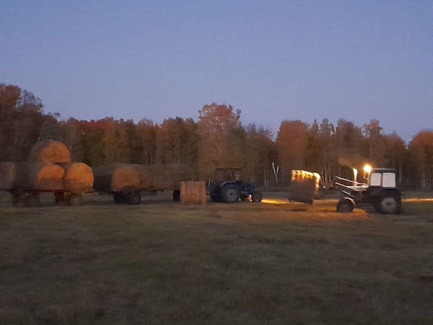 Продам сено в рулонах 500 кг урожай 2024