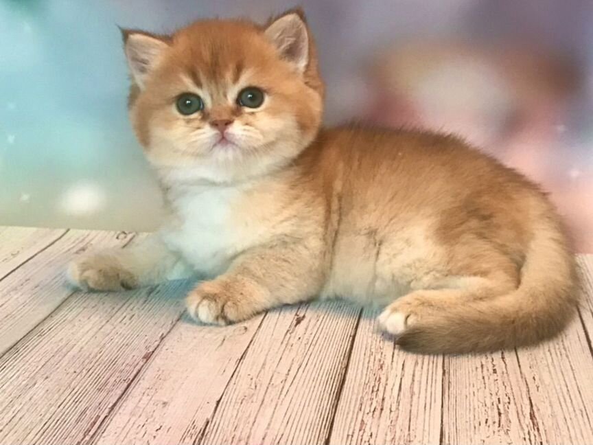 Красивый парень