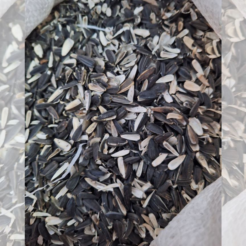 Шелуха подсолнечника