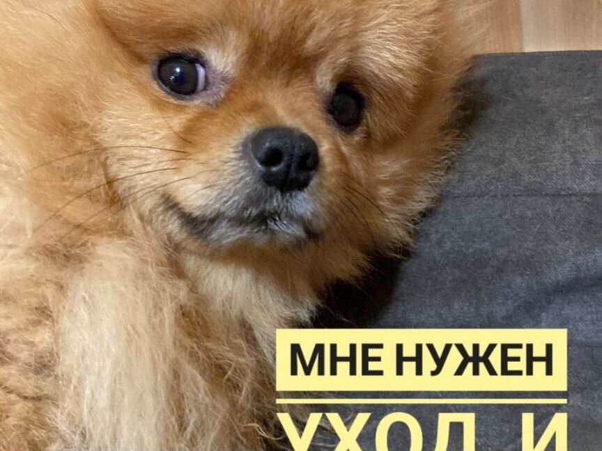 Джексону нужен ты