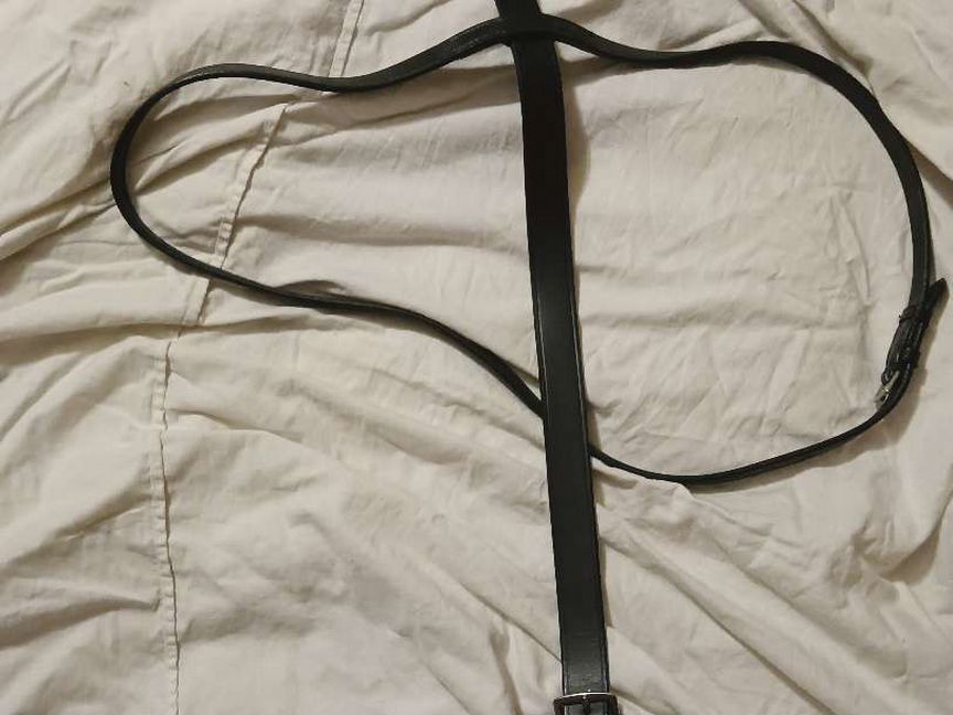 Мартингал на пони