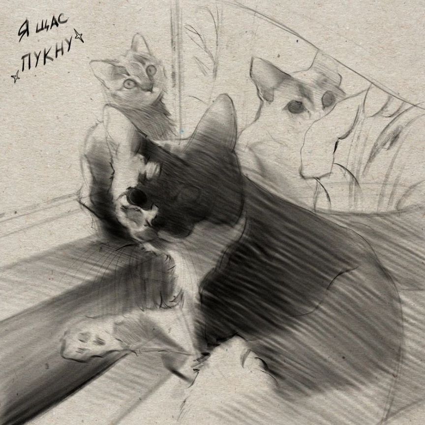 Рисую котиков и собачек