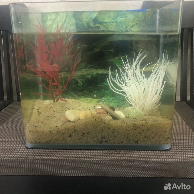 Аквариум прямоугольный, 5л