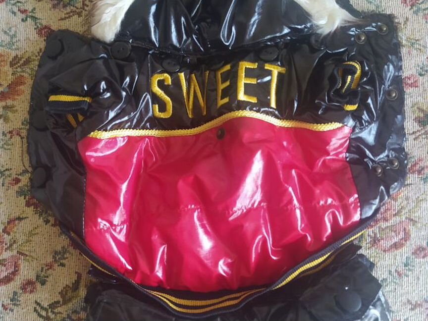 Одежда для чихуахуа