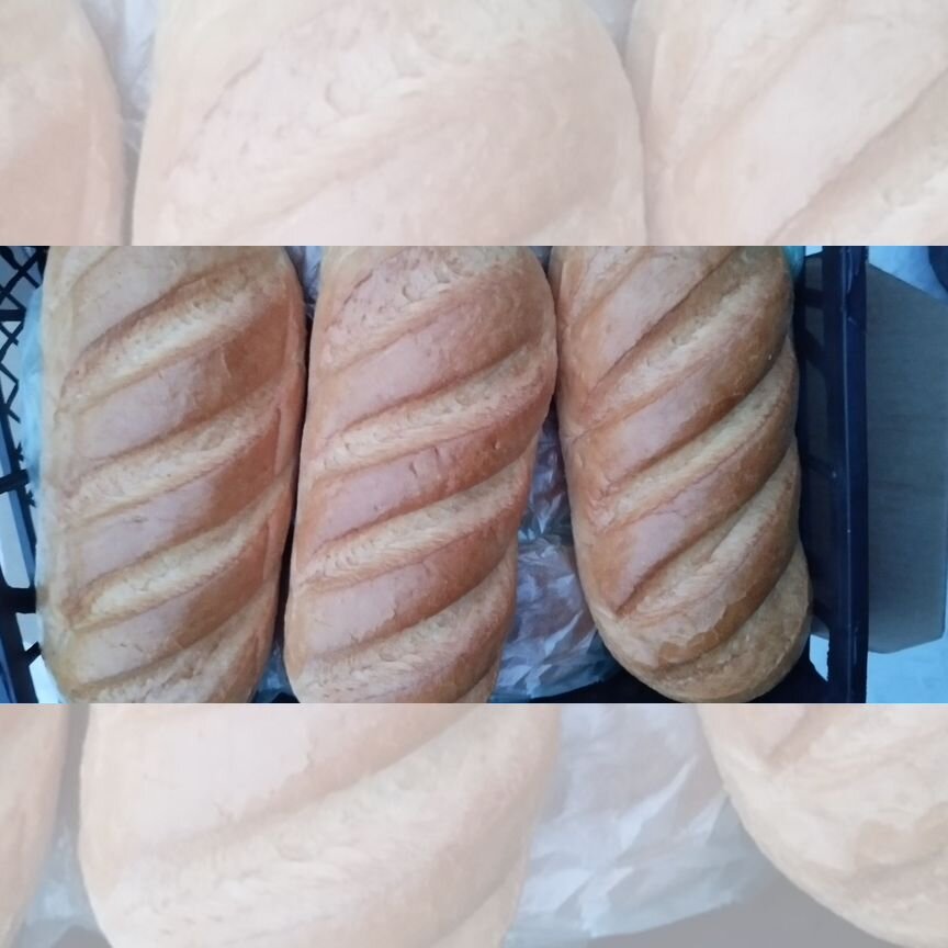 Хлеб на корм животным