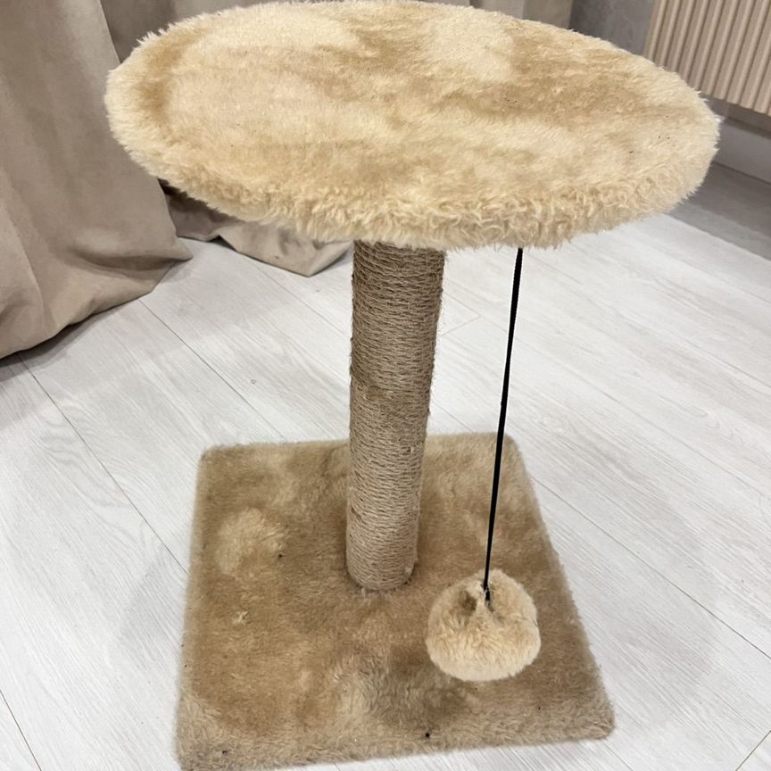 Когтеточка для кошек