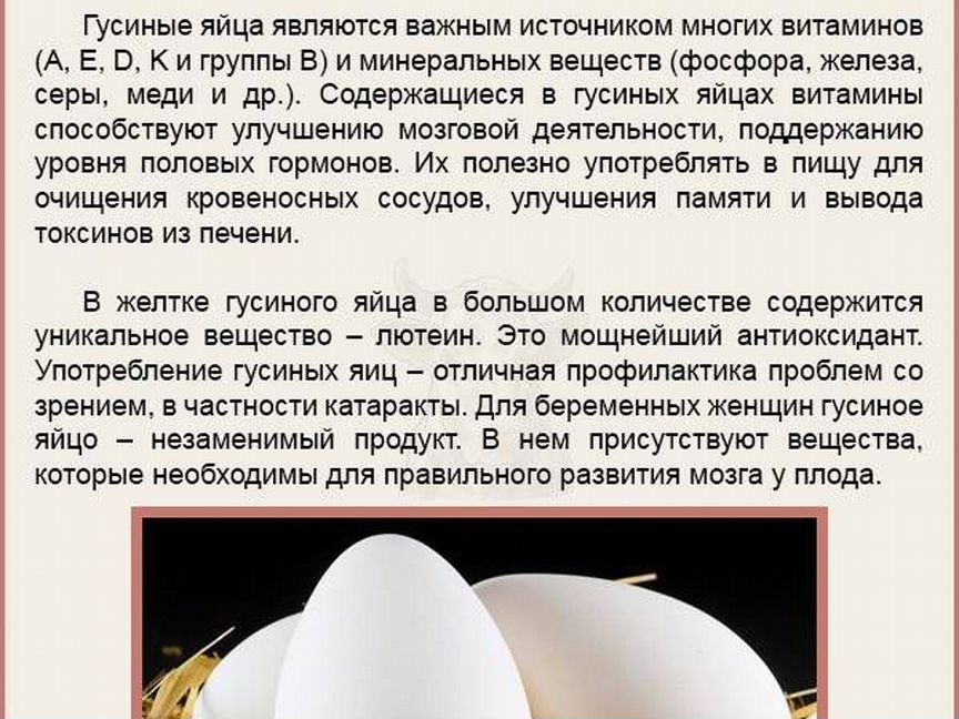Яйцо гусиное