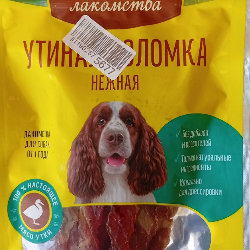 Корм для собак