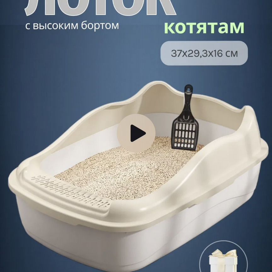 Лоток для котят