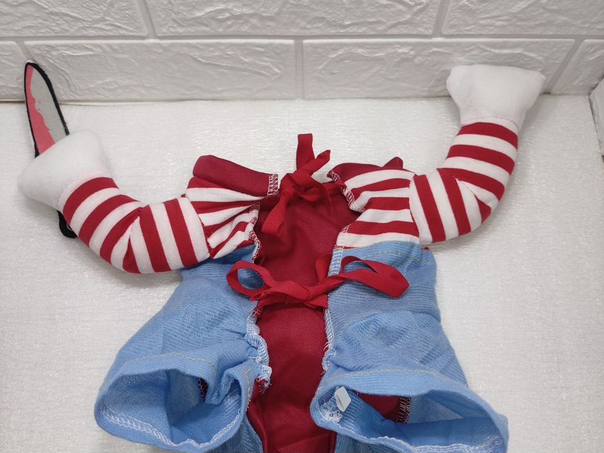 Костюм для собаки