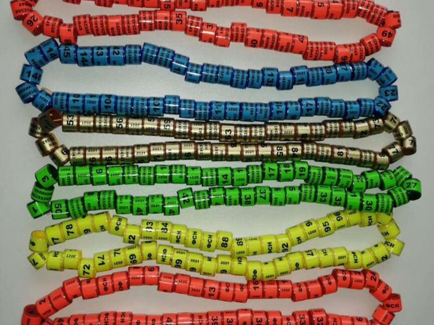 Именные и родовые кольца для голубей