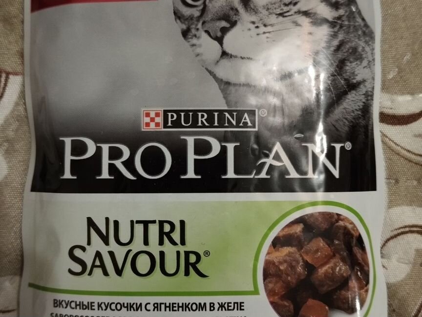 Корм для кошек