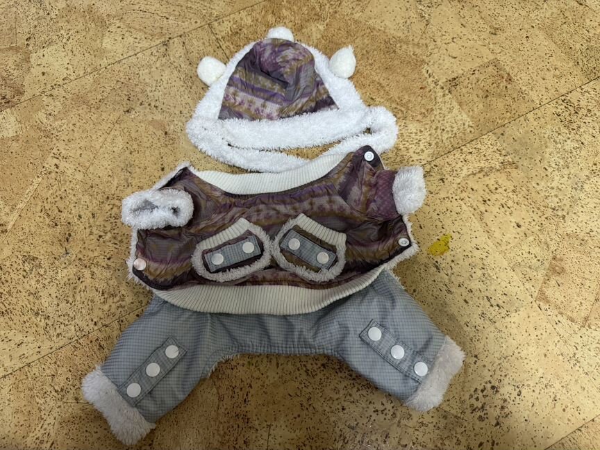 Одежда для собак