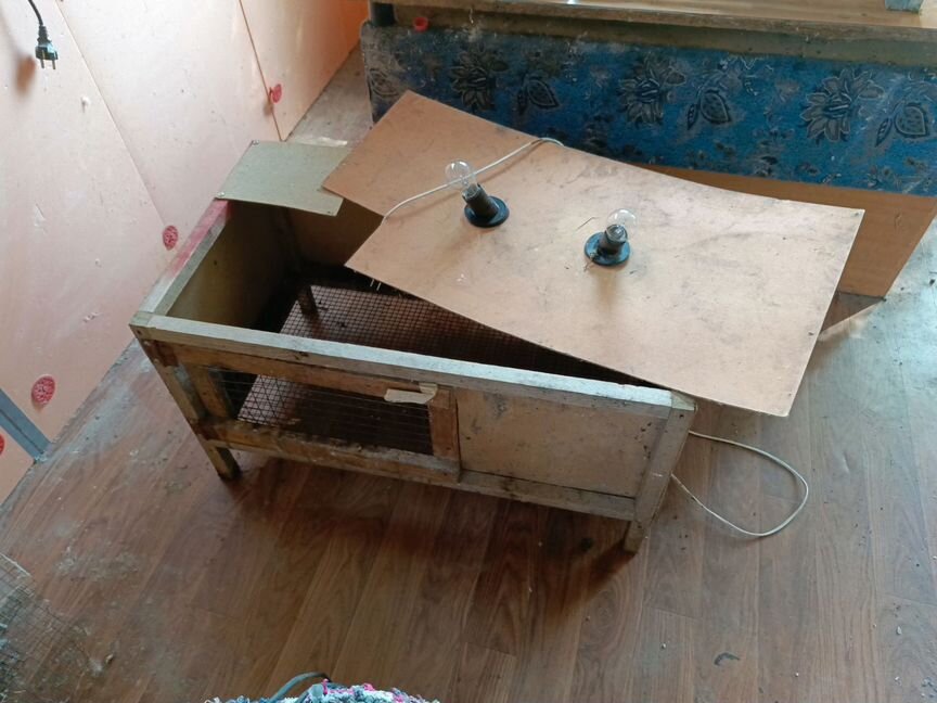 Клетка для цыплят