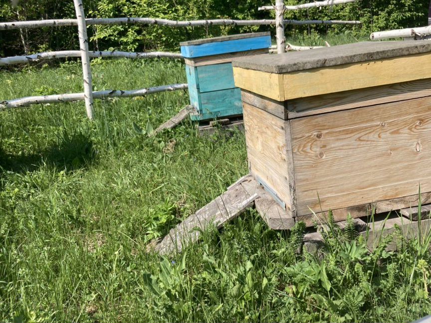 Рамки для ульев сушь