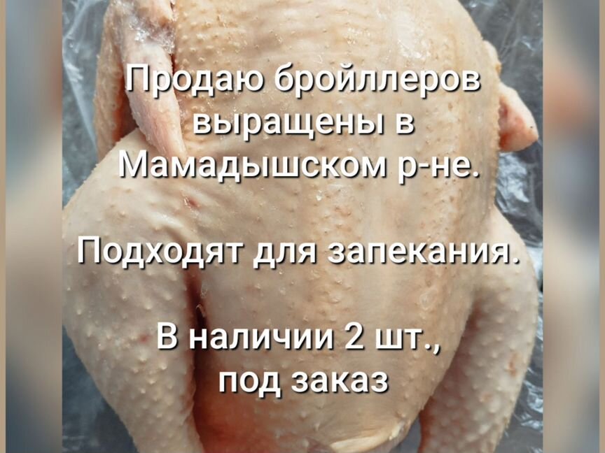 Бройлерные куры