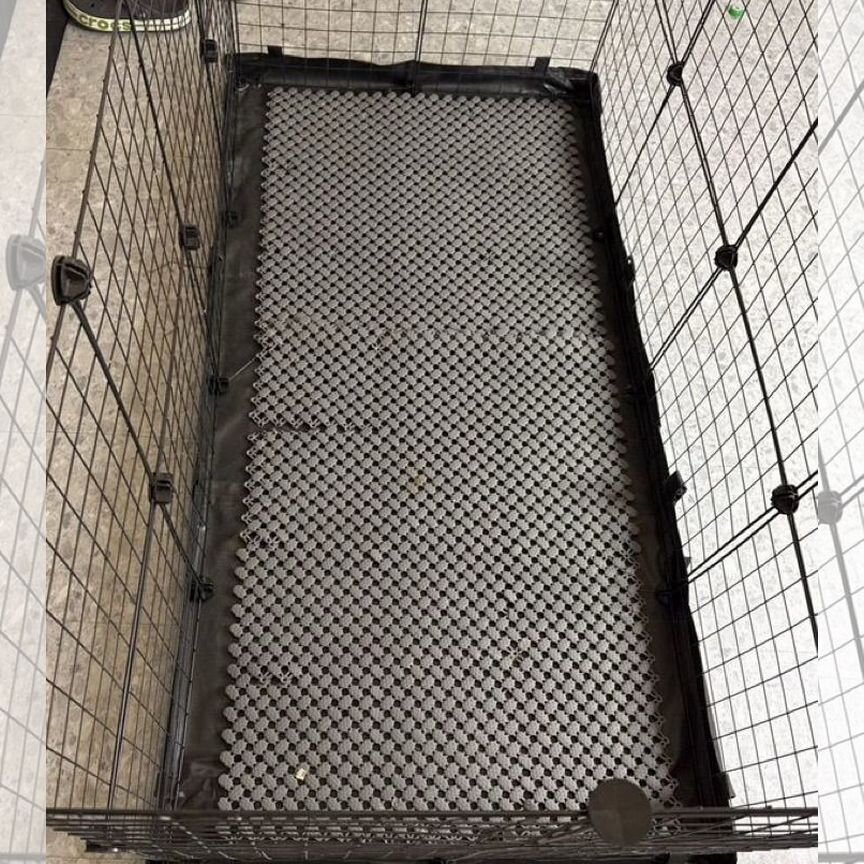 Вольер для морской свинки