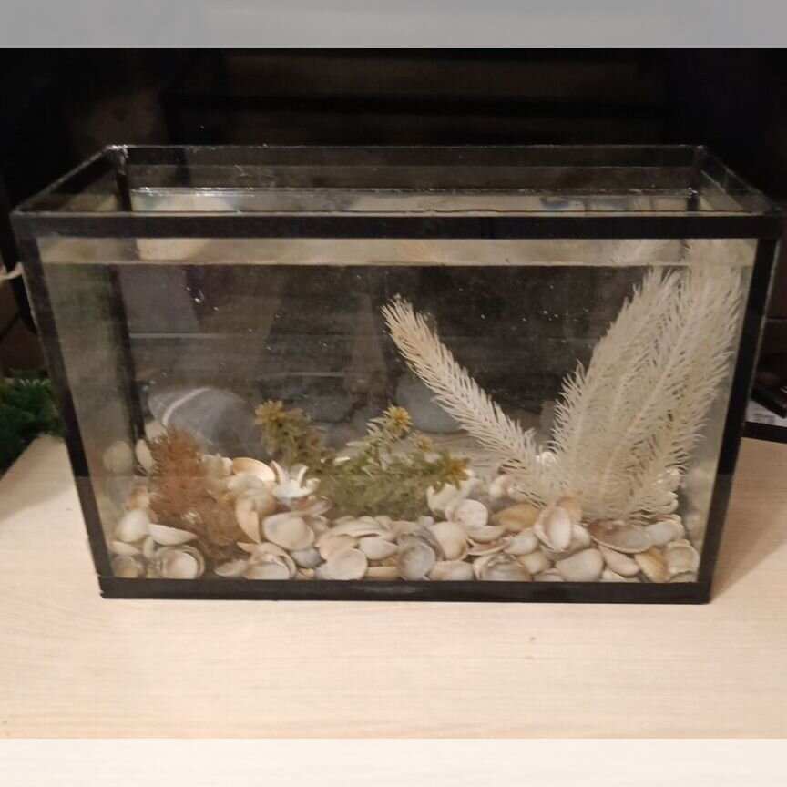 Аквариум на 6 литров с растениями и грунтом